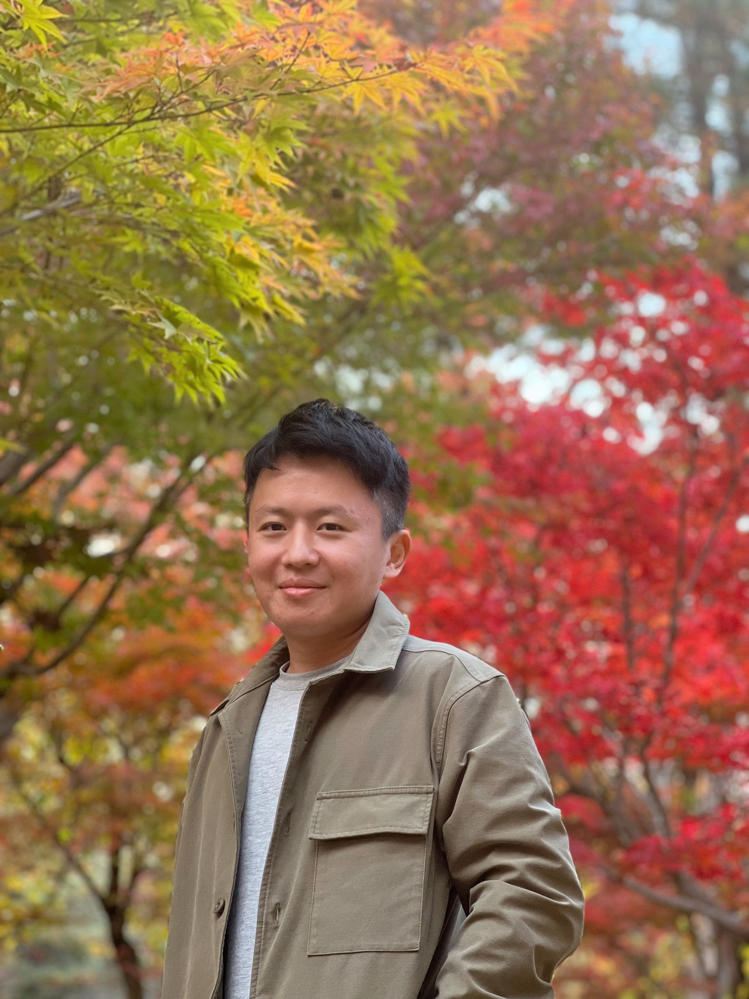 Epson’s 3LCD Projectors Transforming the Wings of Time Night Show ...